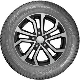 NOKIAN TYRES Winterreifen tf00054 235/50 R19 103V