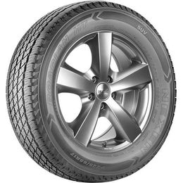 Nexen Sommerreifen 12521nxc