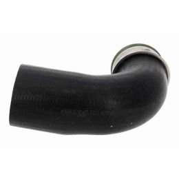 VAICO Ladeluftschlauch v10000140 f&uuml;r VW Porsche
