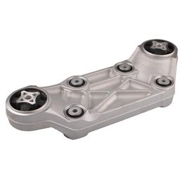 TEDGUM Lagerung, Motor ted79700 vorne f&uuml;r Tesla