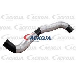 ACKOJA K&uuml;hlerschlauch a381603 unten f&uuml;r NISSAN