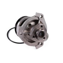 Hepu Wasserpumpe p347 f&uuml;r Vaughall SAAB Opel