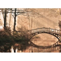Livingwalls Fototapete LIVING WALLS "Designwalls Park Bridge 2", braun (braun, beige), B:3,5m L:2,55m, Vlies, Tapeten, Vlies, Wand, Schr&auml;ge, Decke