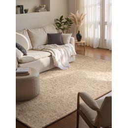 Teppich Hanse Home "Wolly 2" Gr. 6, beige (beige, braun), B:200cm H:12mm L:300cm, Kunstfaser, Teppiche, Teppich, Flachgewebe, L&auml;ufer, Skandi, Woll-Optik, Esszimmer, Wohnzimmer, Flur