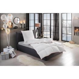 G&auml;nsedaunenbettdecke + Kopfkissen Ribeco "Kalle", wei&szlig;, B/L: 135cm x 200cm Anzahl Teile 1, B/L: 80cm x 80cm Anzahl Teile 1, Bezug: Baumwolle F&uuml;llung: G&auml;nsedaune/-feder, extrawarm, Bettdecken Bezug: 100% Baumwolle. Kopfkissen Bezug: 100% Baumwolle. Bettdecken F&uuml;llung: 90% G&auml;nsedaunen, 10% G&auml;nsefeder. Kopfkissen F&uuml;llung: 90% G&auml;nsefeder, 10% G&auml;nsedaunen, Bettwaren-Sets, pflegeleicht