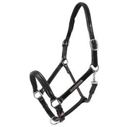 Hans Melzer Horse Equipment Hans Melzer Halfter Schwaiganger schwarz/silber WB (Warmblut)