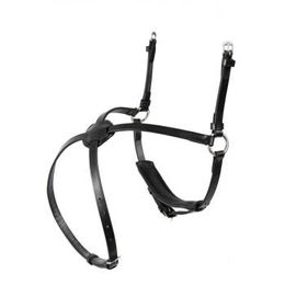 Hans Melzer Horse Equipment Hans Melzer Reithalfter mexikanisch schwarz/silber schwarz unterlegt VB/ COB (Vollblut)