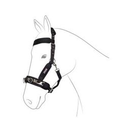 Softie Kappzaum Sofprene WB (Warmblut)