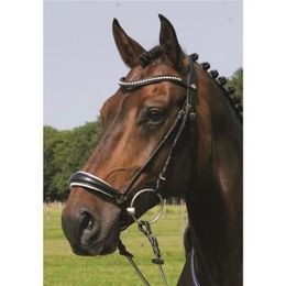 Hans Melzer Horse Equipment Hans Melzer Trense Valluhn schwarz/silber hannoversches Reithalfter wei&szlig; unterlegt WB (Warmblut)