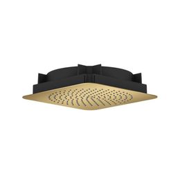 Hansgrohe Kopfbrause 270 1jet PowderRain 28814250 270 1jet PowderRain, Decke brushed gold