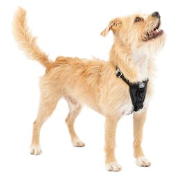 PetSafe Kurgo Tru-Fit Autosicherheitsgeschirr f&uuml;r Hunde, Gr&ouml;&szlig;e S, Schwarz