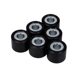 Variomatikgewichte Polini 20x17mm - 20,0g