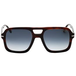Carrera Dunkelgraue SF-Linsenbraune Horn-Sonnenbrille