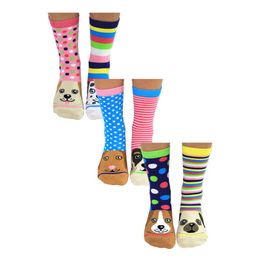 United Oddsocks UNITED ODD SOCKS - 6 Pack Damen Welpe Hund Neuheit Baumwolle ungerade Socken in Geschenk-Box - Paws
