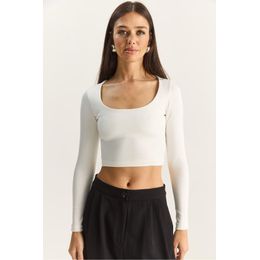 Basic Cropped Top