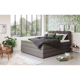 Boxspringbett COTTA "Fort II, in verschiedenen Breiten erh&auml;ltlich - auch als Familienbett", charcoal, B:201cm L:215cm, 100% POLYESTER (PES), Komplettbetten, Boxspringbett, inkl. Bettkasten und Topper