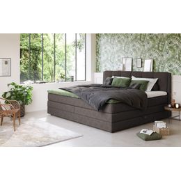 Boxspringbett COTTA "Fort II, in verschiedenen Breiten erh&auml;ltlich - auch als Familienbett", charcoal, B:221cm L:215cm, 100% POLYESTER (PES), Komplettbetten, Boxspringbett, inkl. Bettkasten und Topper