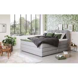 Boxspringbett COTTA "Fort II, in verschiedenen Breiten erh&auml;ltlich - auch als Familienbett", light grau, B:181cm L:215cm, 100% POLYESTER (PES), Komplettbetten, Boxspringbett, inkl. Bettkasten und Topper