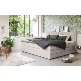 Boxspringbett COTTA "Fort II, in verschiedenen Breiten erh&auml;ltlich - auch als Familienbett", beige, B:221cm L:215cm, 100% POLYESTER (PES), Komplettbetten, Boxspringbett, inkl. Bettkasten und Topper