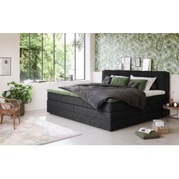 Boxspringbett COTTA "Fort II, in verschiedenen Breiten erh&auml;ltlich - auch als Familienbett", schwarz, B:221cm L:215cm, 100% POLYESTER (PES), Komplettbetten, Boxspringbett, inkl. Bettkasten und Topper