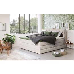 Boxspringbett COTTA "Fort II, in verschiedenen Breiten erh&auml;ltlich - auch als Familienbett", beige, B:181cm L:215cm, 100% POLYESTER (PES), Komplettbetten, Boxspringbett, inkl. Bettkasten und Topper