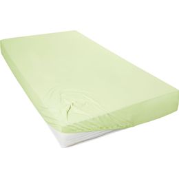Spannbettlaken Primera "Mako-Feinjersey Spannbetttuch", gr&uuml;n (hellgr&uuml;n), L:200cm, Mako-Jersey, Obermaterial: 100% Baumwolle, Bettlaken, Spannbettlaken, Geeignet f&uuml;r Standardmatratzen bis 22 cm, 100% Baumwolle