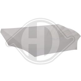 DIEDERICHS Motorhaube 7940100 vorne f&uuml;r Tesla