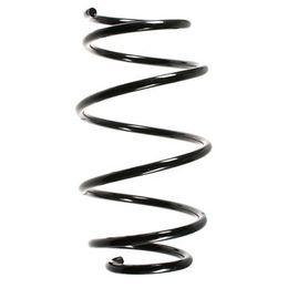 SPIDAN Fahrwerksfeder 55103 Vorderachse f&uuml;r BMW