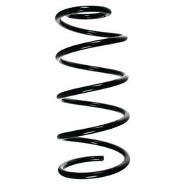 SPIDAN Fahrwerksfeder 55352 Vorderachse f&uuml;r Ford