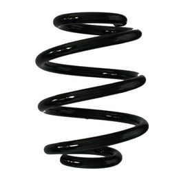 SPIDAN Fahrwerksfeder 86547 Hinterachse f&uuml;r RENAULT