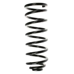 SPIDAN Fahrwerksfeder 55039 Hinterachse