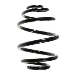 SPIDAN Fahrwerksfeder 48504 Hinterachse