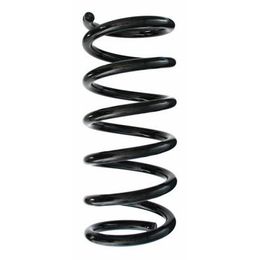SPIDAN Fahrwerksfeder 87032 Hinterachse f&uuml;r CHEVROLET