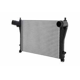Hella Ladeluftk&uuml;hler 8ml366471091 f&uuml;r CUPRA VW