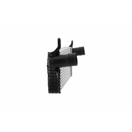 Hella Ladeluftk&uuml;hler 8ml366470881 f&uuml;r CUPRA