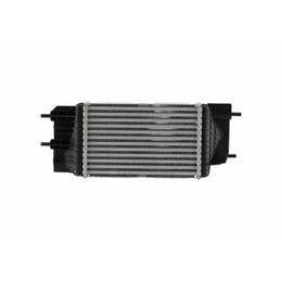 Hella Ladeluftk&uuml;hler 8ml366470771 f&uuml;r NISSAN