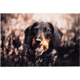 Fu&szlig;matte Astra "Deco Print 106", braun, B:40cm H:5mm L:60cm, Kunstfaser, Teppiche, Fu&szlig;matte, Sauberlaufmatte, T&uuml;rmatte, waschbar, Eingangsbereich, rutschfest