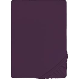 Spannbettlaken Biberna "THEA Baumwoll-Jersey mit Elasthan, 160 g/m&sup2;", lila (dunkelviolett), 1 Stk., Jersey-Elasthan, 120-130x200-220 25cm, Jersey-Elasthan, Obermaterial: 97% Baumwolle, 3% Elasthan, Bettlaken, Spannbettlaken, Bettlaken f&uuml;r Matratzen bis 25 cm H&ouml;he, pflegeleicht, b&uuml;gelfrei