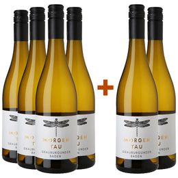 Wirwinzer Select 4+2 Morgentau Grauburgunder 2025 Trocken - W&uuml;rttemberg &ndash; Probierpaket Qualit&auml;tswein
