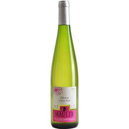 Domaine Jean-Paul Mauler SYLVANER Alsace Cuv&eacute;e Paul Silvaner 2023 Halbtrocken - Elsass &ndash; Wei&szlig;wein AOP