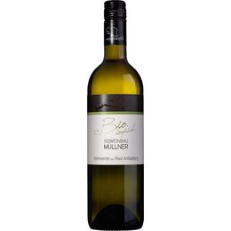 BIO Weinbau M&uuml;llner Weinviertel DAC Antlasbergen Gr&uuml;ner Veltliner 2025 Trocken - &ndash; Wei&szlig;wein Qualit&auml;tswein