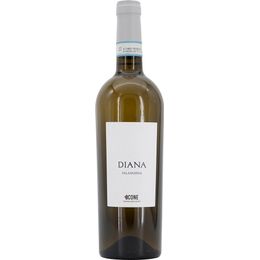 Ocone Diana Sannio Falanghina 2025 Trocken - Kampanien &ndash; Wei&szlig;wein DOC