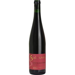 Weingut Gl&ouml;ckner Sp&auml;tburgunder 2020 Trocken - Nahe &ndash; Rotwein Qualit&auml;tswein