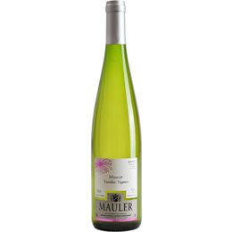Domaine Jean-Paul Mauler Alsace VIEILLES VIGNES Muscat 2024 Halbtrocken - Elsass &ndash; Wei&szlig;wein AOP