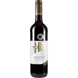 Weingut Maik Hahn im Barrique gereift Merlot 2024 Trocken - Rheinhessen &ndash; Rotwein Qualit&auml;tswein