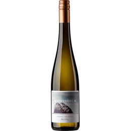 weingut schwedhelm Wotan-Kalkfels Riesling 2022 Trocken - Pfalz &ndash; Wei&szlig;wein Qualit&auml;tswein