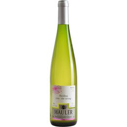 Domaine Jean-Paul Mauler Riesling Lieu Dit Streng Alsace 2024 Trocken - Elsass &ndash; Wei&szlig;wein AOP