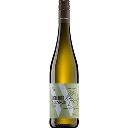 Weingut Josef W&ouml;rner Weingut Josef W&ouml;rner Lieblingsmensch Rot Saint Laurent 2024 Trocken - Pfalz &ndash; Rotwein Qualit&auml;tswein