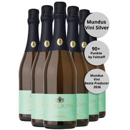 Carl Jung Mousseux - sch&auml;umendes Getr&auml;nk aus entalkoholisiertem wein Riesling Rheingau &ndash; Probierpaket Sch&auml;umendes alkoholfreiem Wein