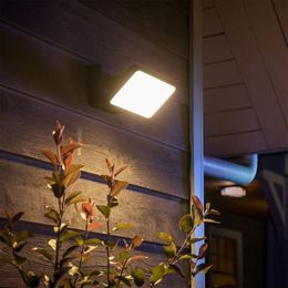 PHILIPS Hue White & Color Ambiance Discover Wandleuchte, LED, 8718696170533,